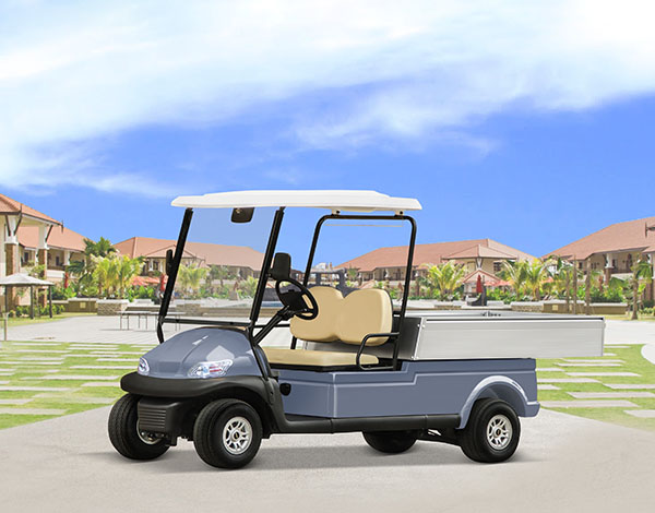 Lioncar | Electric Golf Carts | Electric Shuttle Minibus | Electric ...